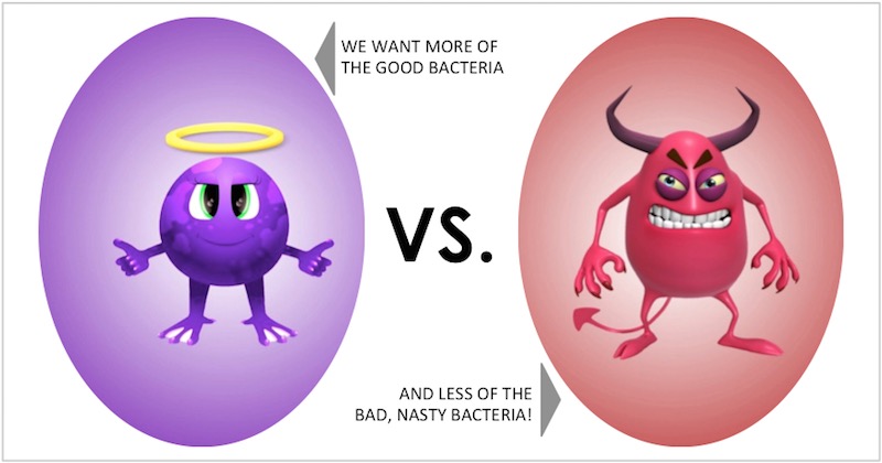 Good Bacteria Vs Bad Bacteria Graph